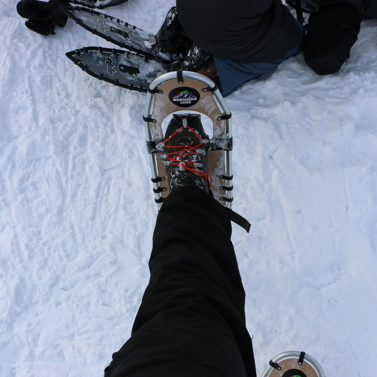 The Speed Binding: Everything You Need To Know – Northern Lites Outdoors