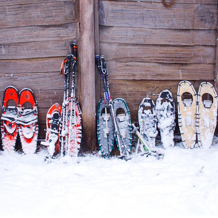 Ultralight Snowshoes for Men & Women | Lightweight Snowshoes Collection ...